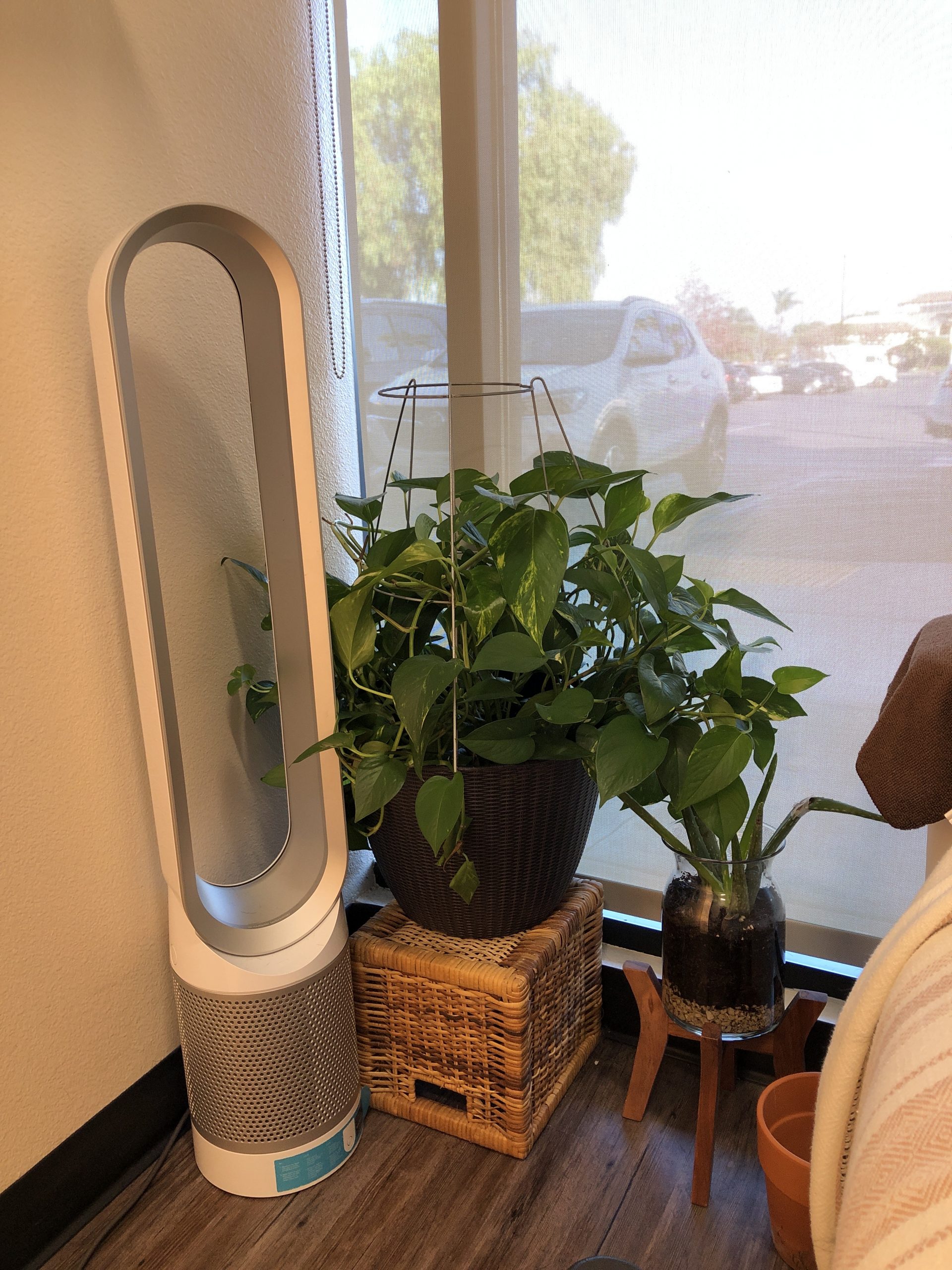 About | LINO Hair & Spa